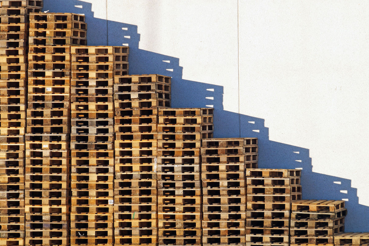 Perché i bancali in legno si meritano un “Pallet Day” - Ribo Pallets s.r.l.