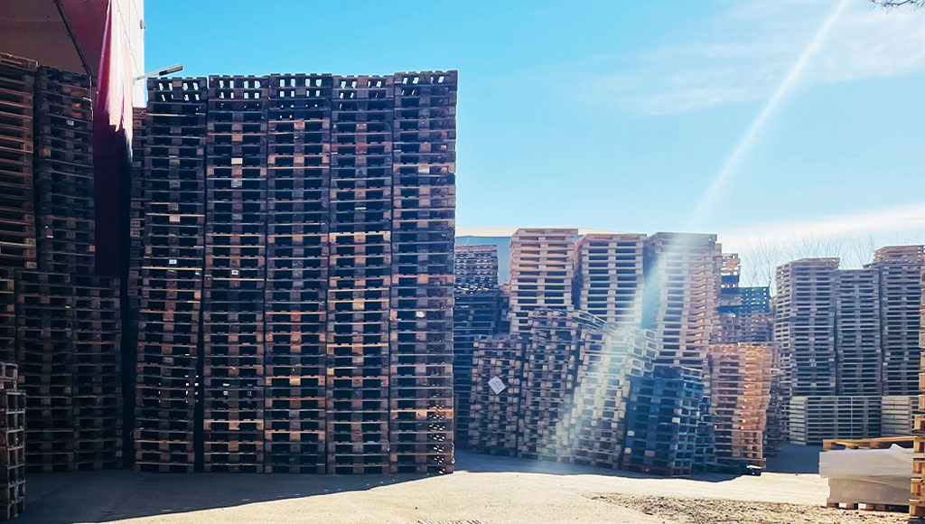 Vantaggi ambientali ed economici dei bancali in legno in logistica ...